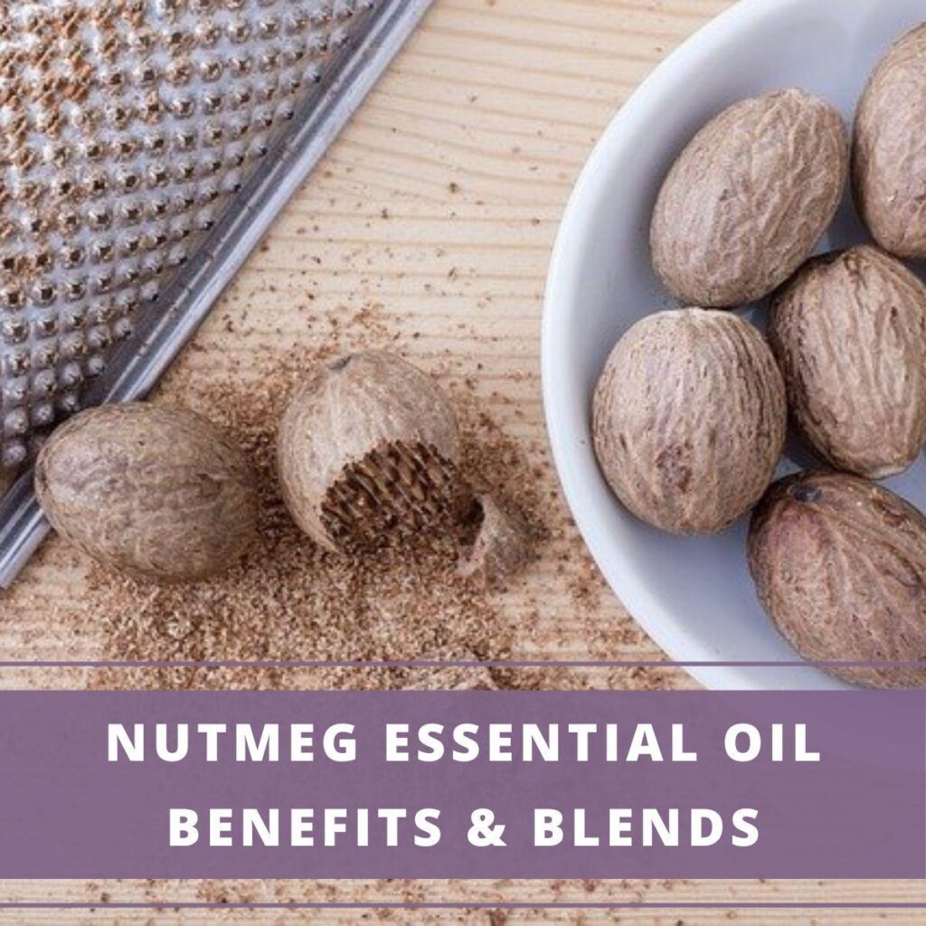 Natural Pain Relief Black Nutmeg & Clove | SocioToday